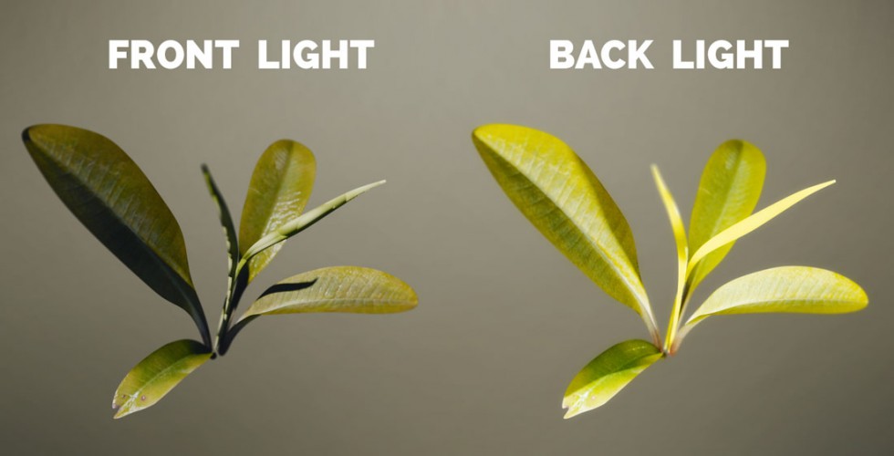 How You Expose the Light by Capturing it? #OpenLightBook Chapter 7 ...