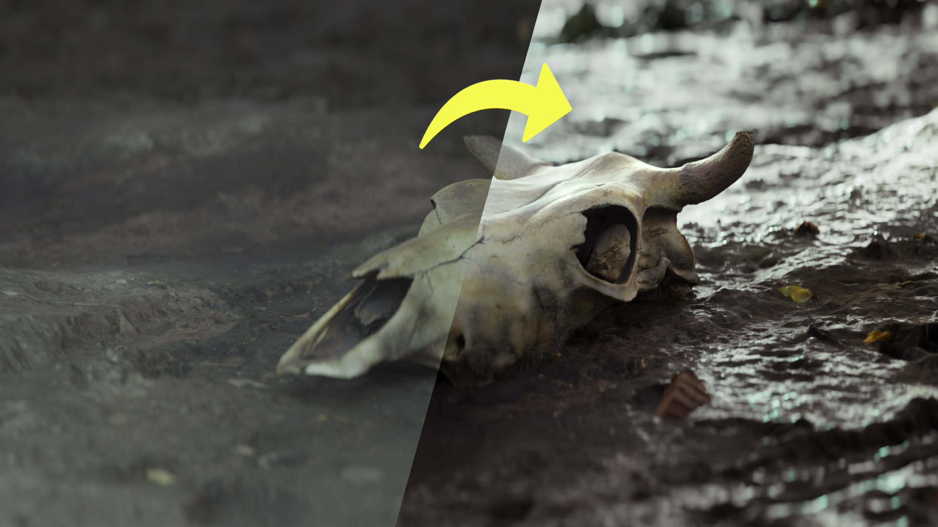 One Simple Technique to Improve Your Lighting in Blender | Upstage ...