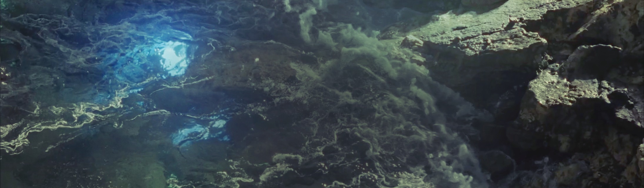 Creative Shrimp Courses • Creative Shrimp